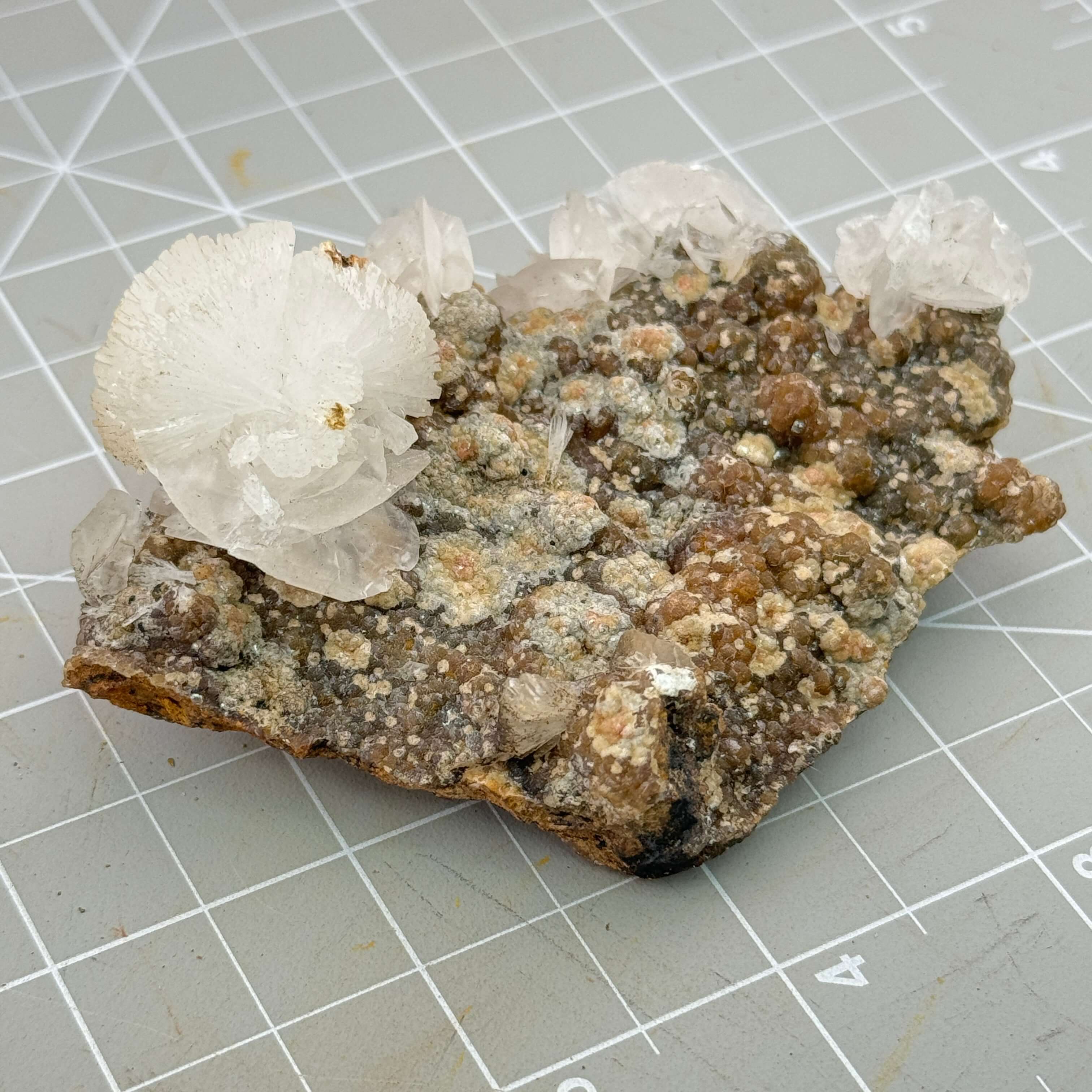Desert Oasis Minerals, "Mouse Ear" Calcite - Mexico