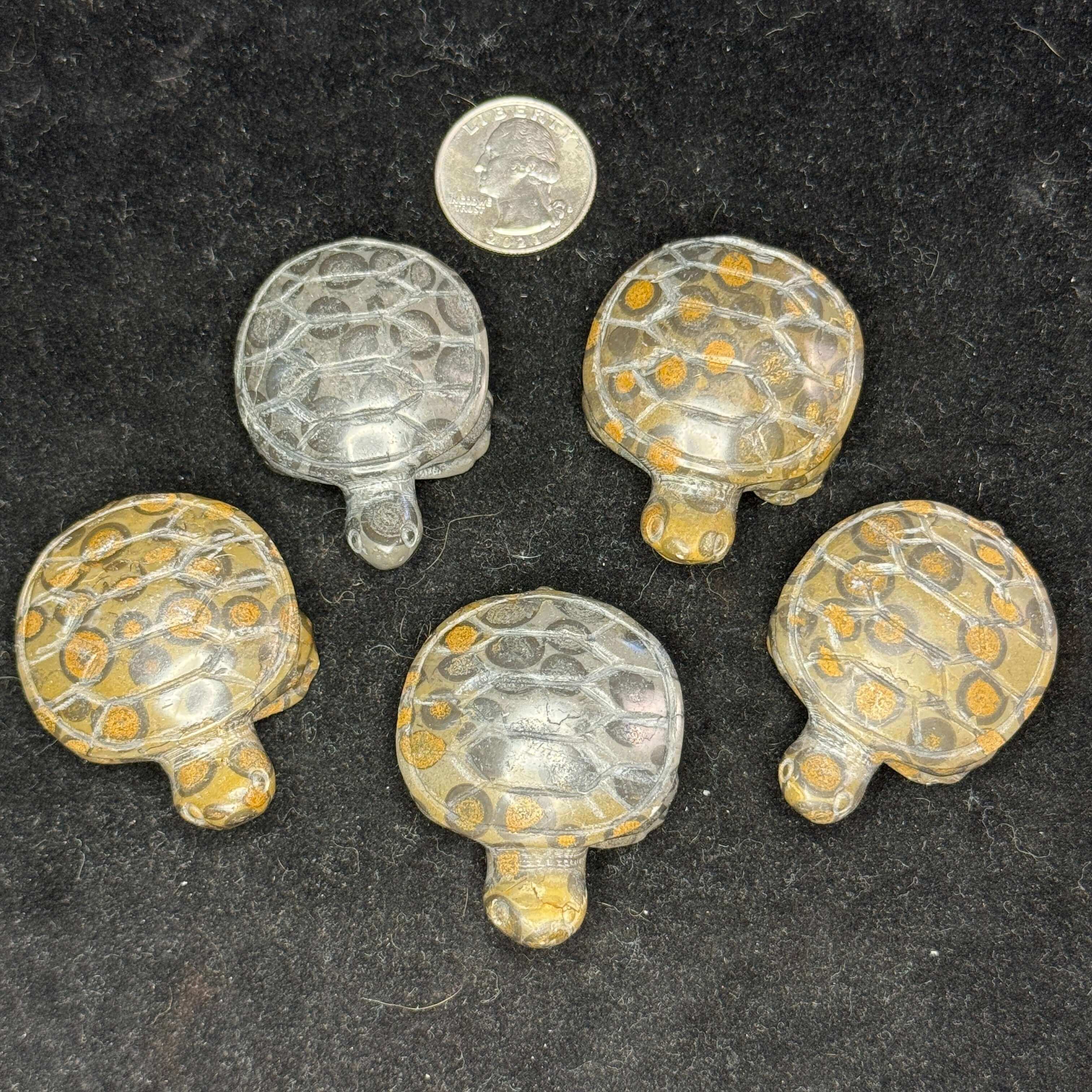 Desert Oasis Minerals, Leopard Print Jasper Turtle Carving