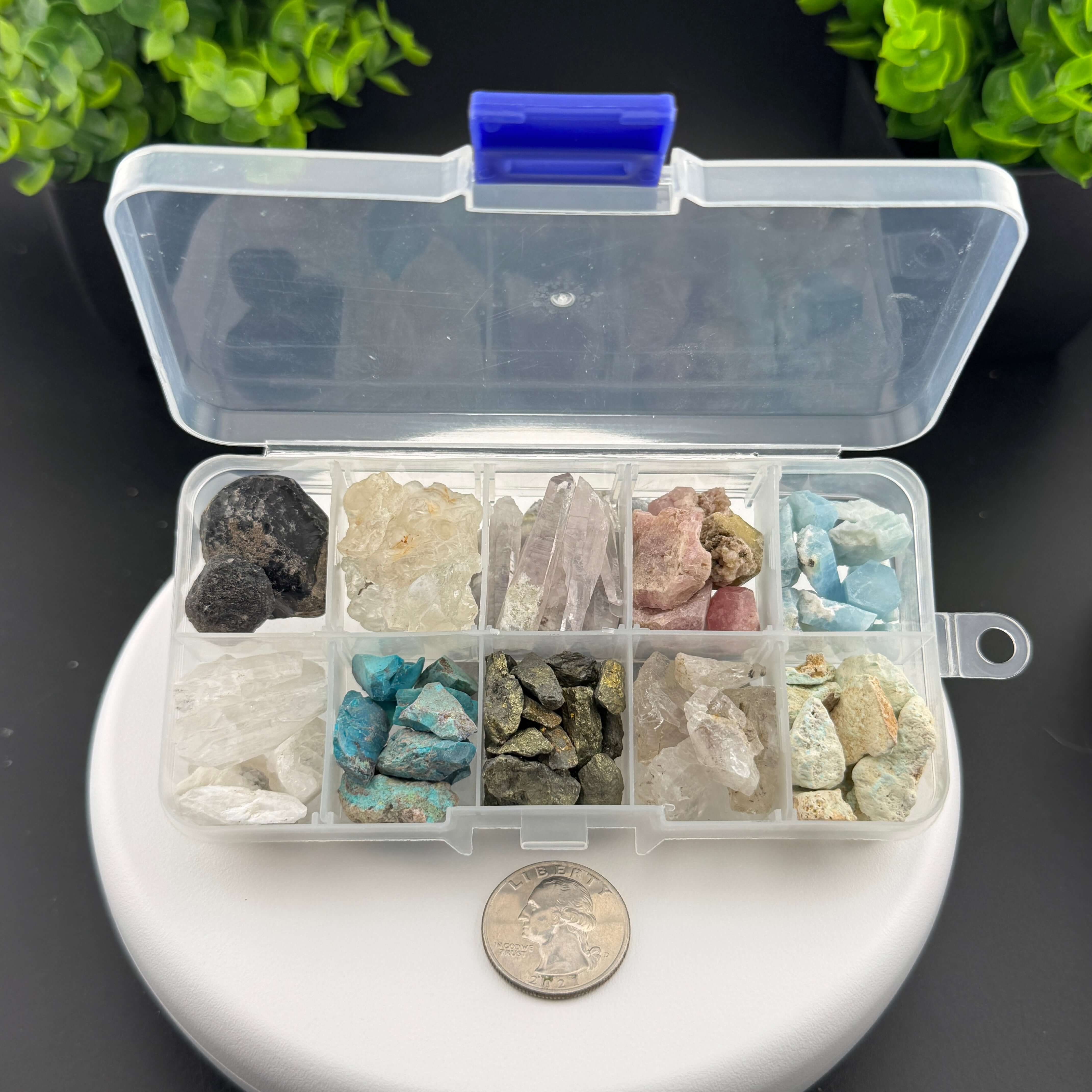 Desert Oasis Minerals, Mixed Mexican Minerals - Case Included