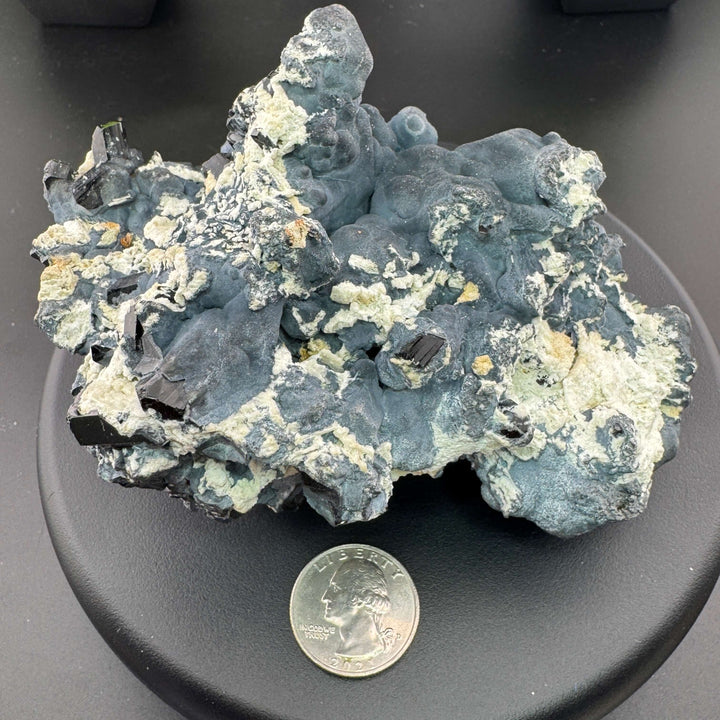 Desert Oasis Minerals, Mottramite Specimen - Tsumeb Mine, Namibia