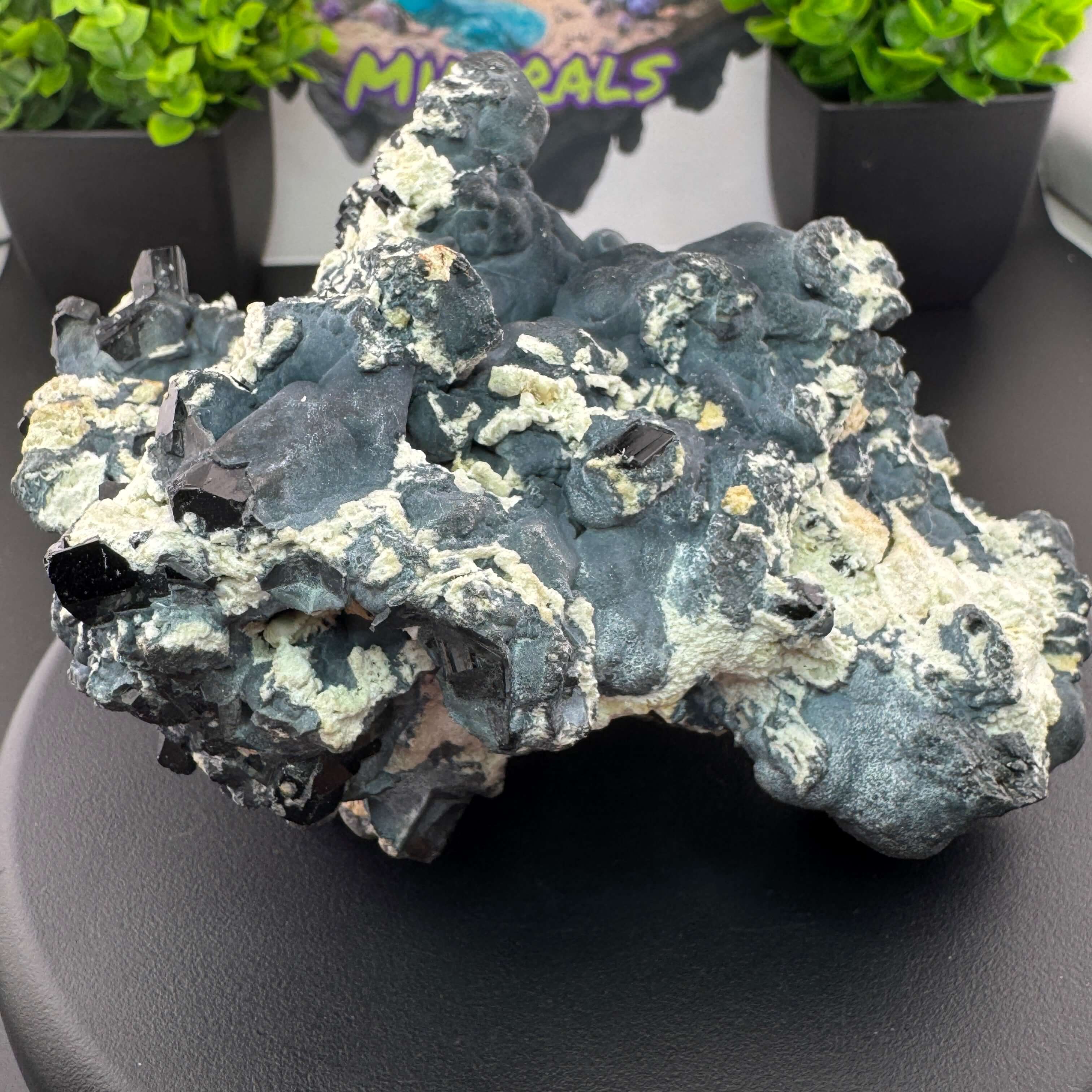 Desert Oasis Minerals, Mottramite Specimen - Tsumeb Mine, Namibia
