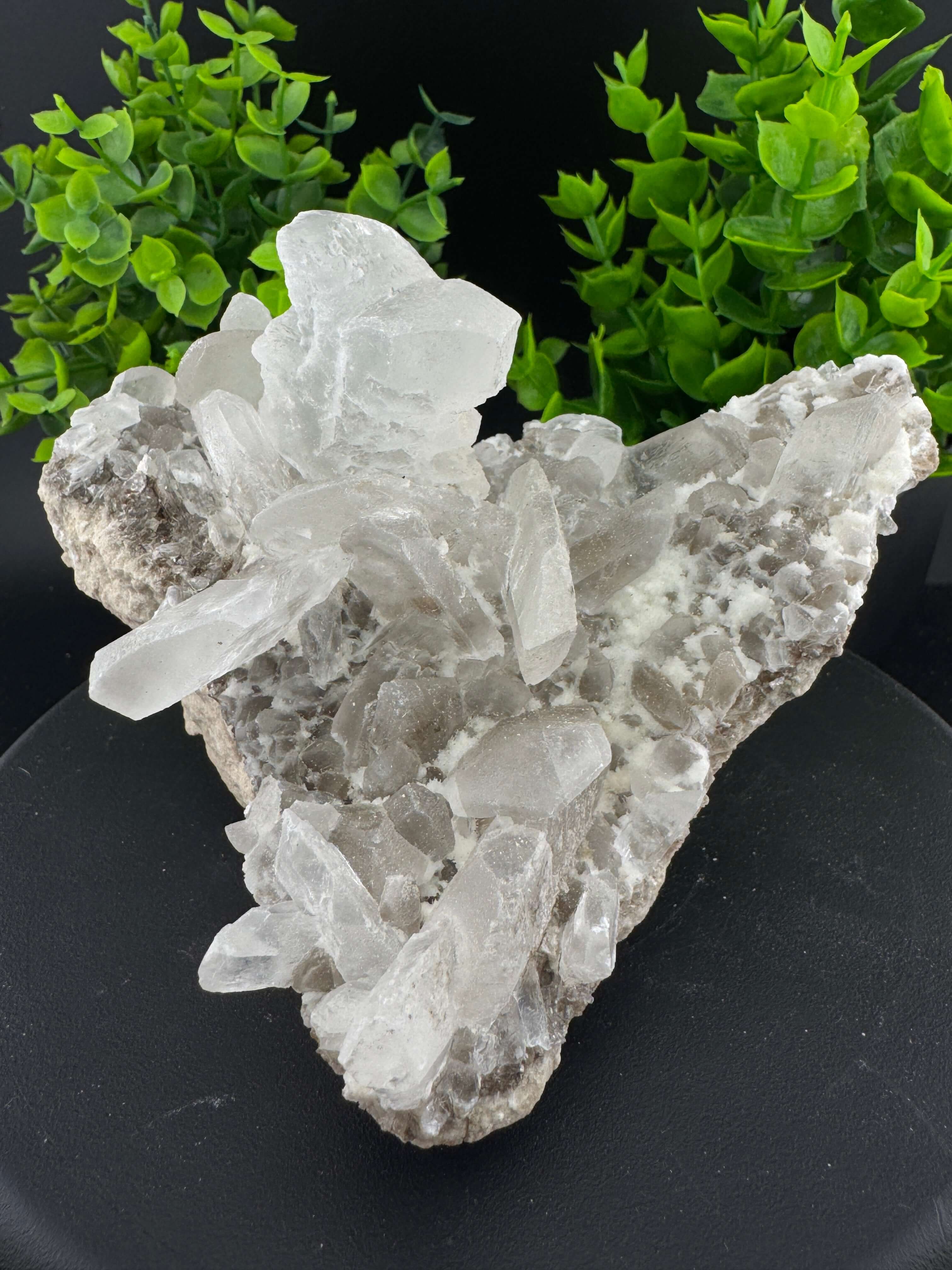 Fishtail Selenite - Unique Gypsum Specimen from Mexico