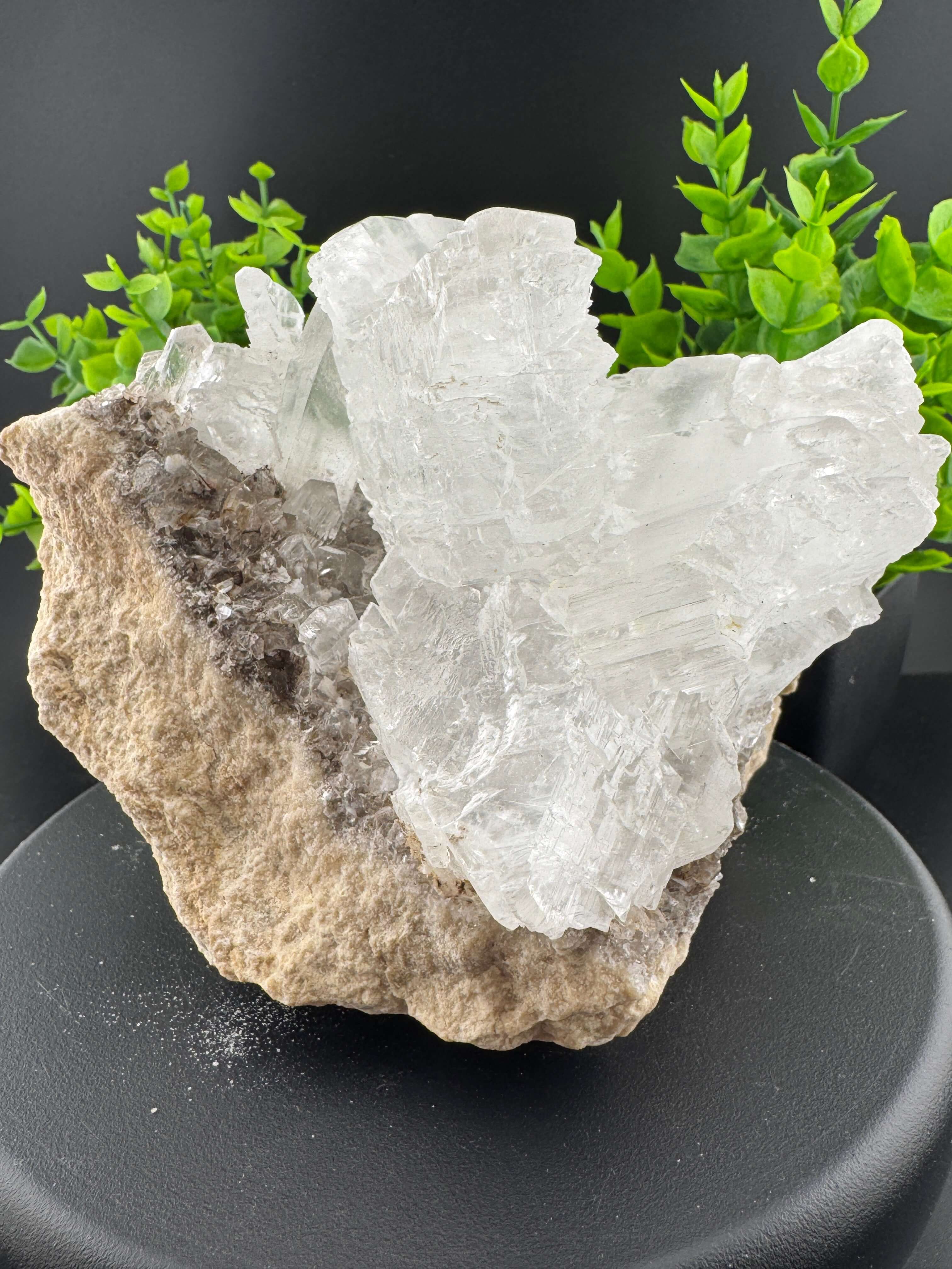 Fishtail Selenite - Unique Gypsum Specimen from Mexico