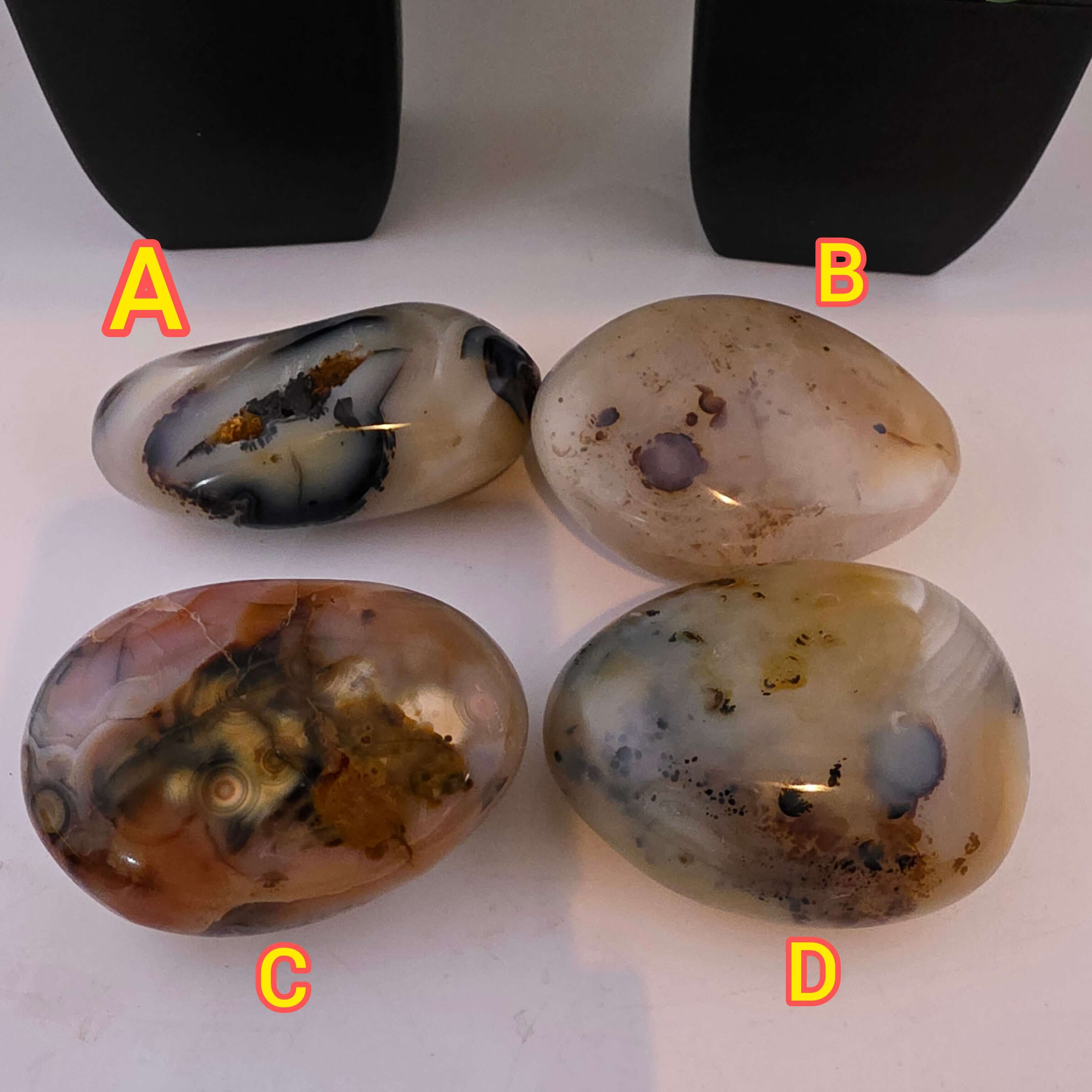 Dendritic Agate Palm Stone Pebbles - Madagascar | Buy Now